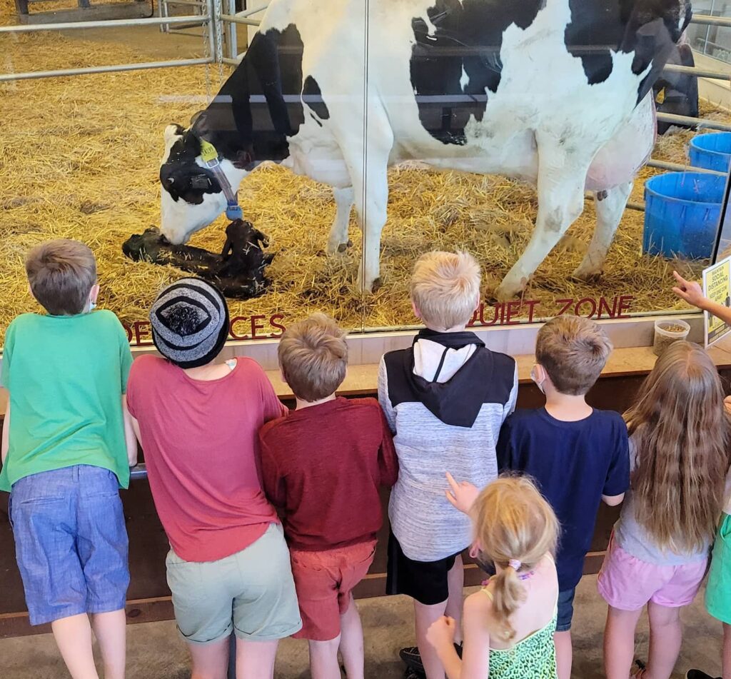 ‘A Day in the Life’ on a Field Trip Visit to Farm Wisconsin | Farm ...